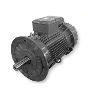 Electric brake motors - MGM Motor Stop