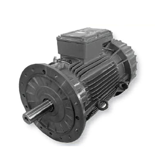 Electric brake motors - MGM Motor Stop